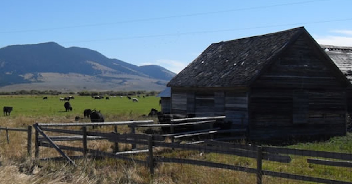 The World’s Most Conspicuous Man | Southwest Montana