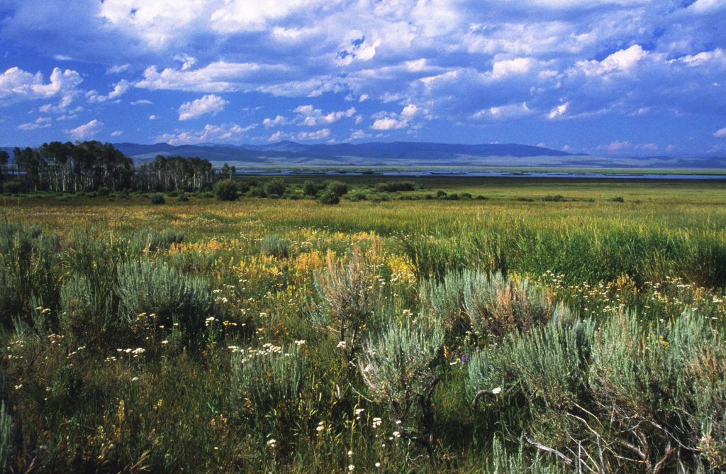 Centennial Valley | Southwest Montana