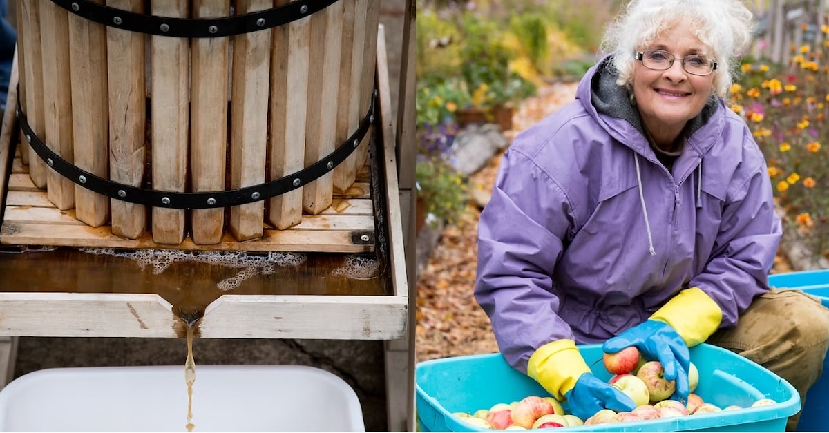 Annual Cider Pressing at Jackson's Garden - Sheridan, MT | Southwest ...