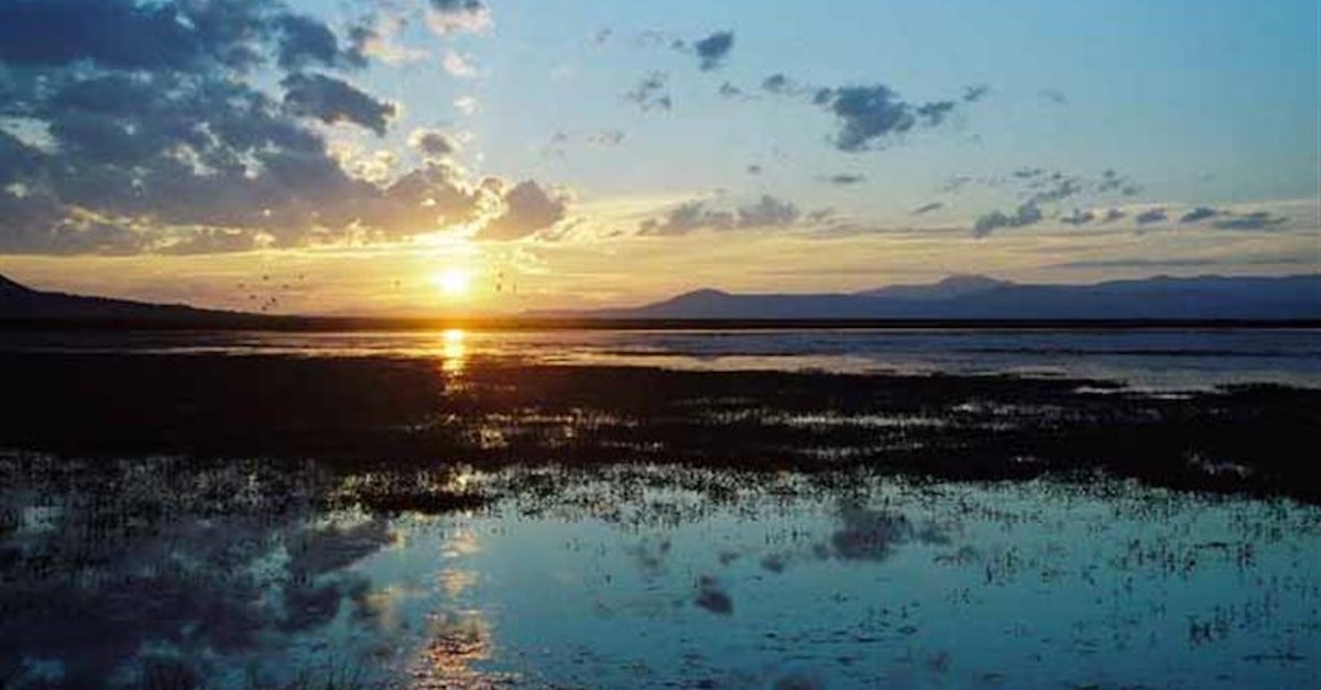 Red Rock Lakes National Wildlife Refuge - Lima, MT | Southwest Montana
